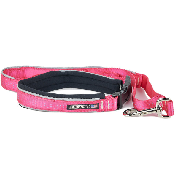 Pro Safety Leash – Spindrift Dog Gear
